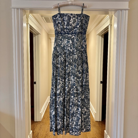 Agua Bendita | Dresses | Agua Bendita Lima Libelulas Dragonfly Noche Maxi Dress Linen Blue ...